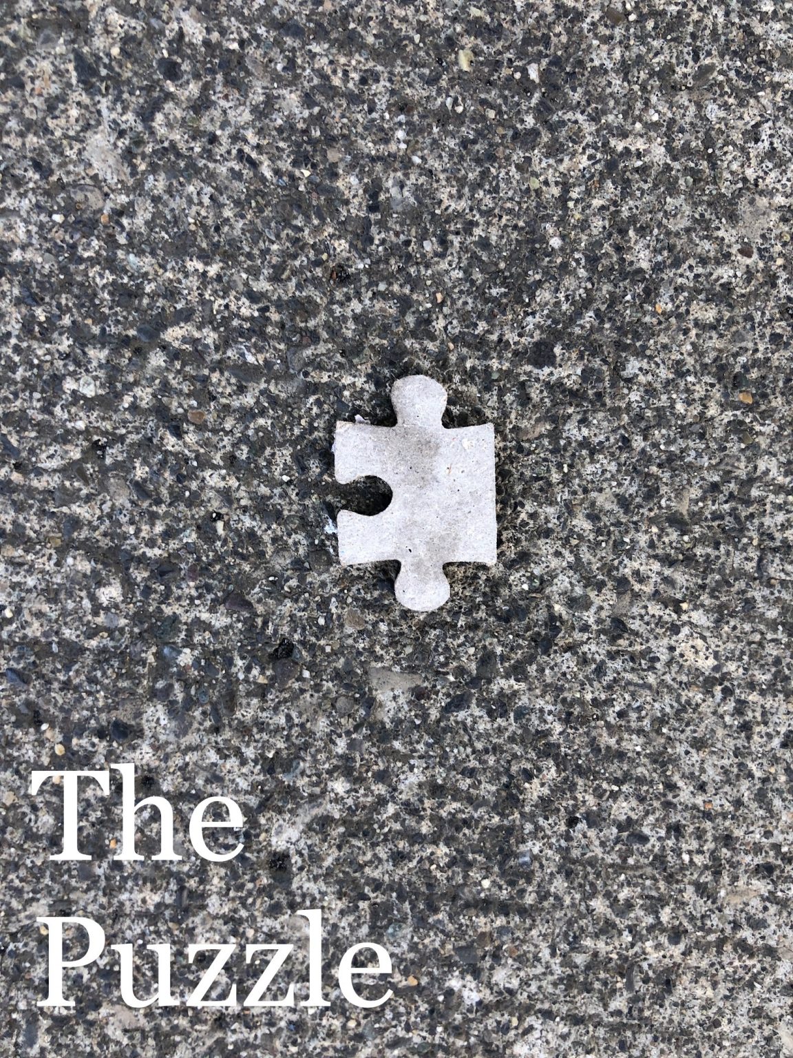The Puzzle – FeederPDX